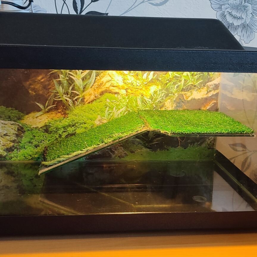 Террариум для красноухой черепахи