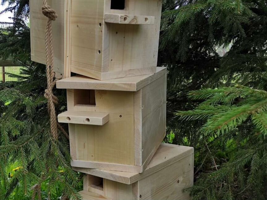 Бельчатник, домик для белки