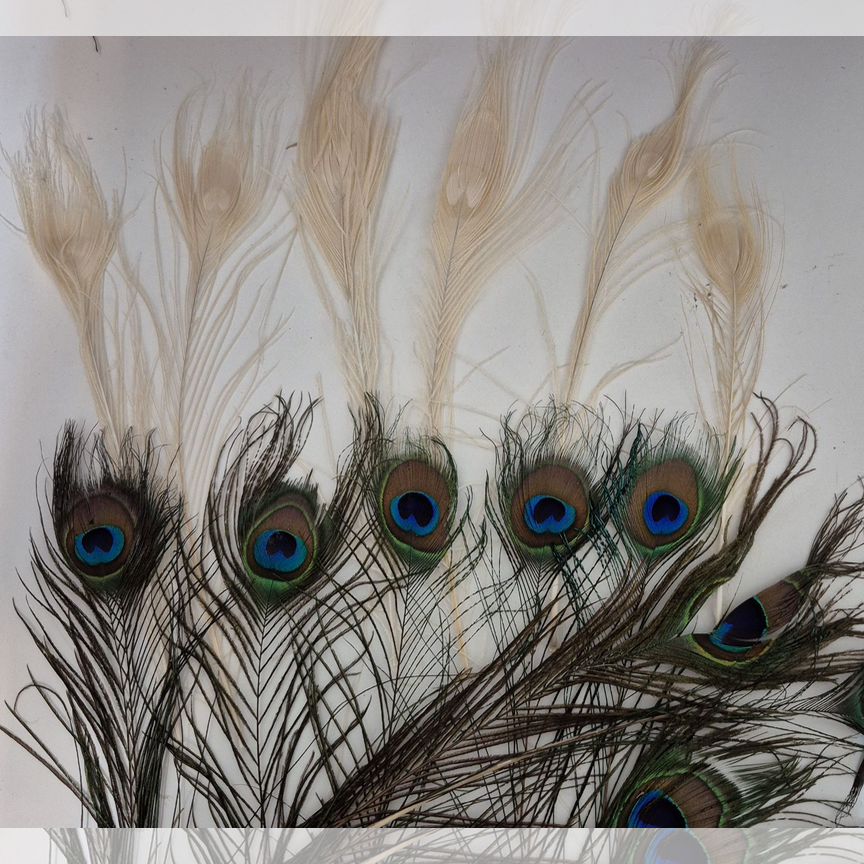 Новые Перья для рукоделия