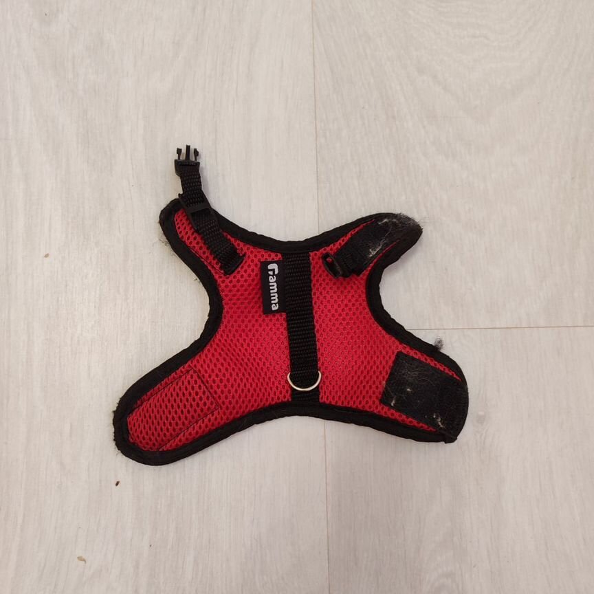 Шлейка для грызунов