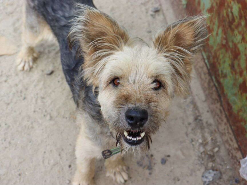 Красивая смесь