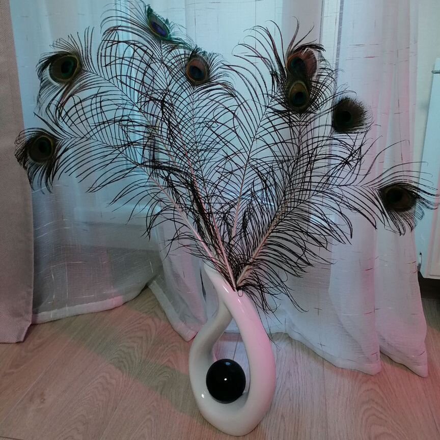 Перо павлина 8 шт