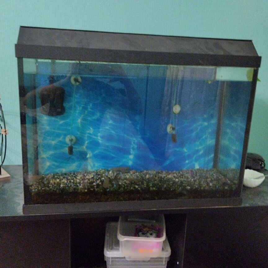 Аквариум