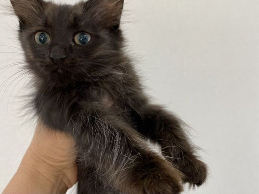 Ночка для доброго человека