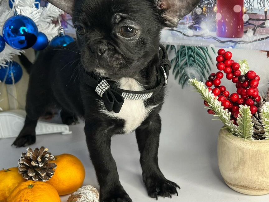 Черный уголек мальчик