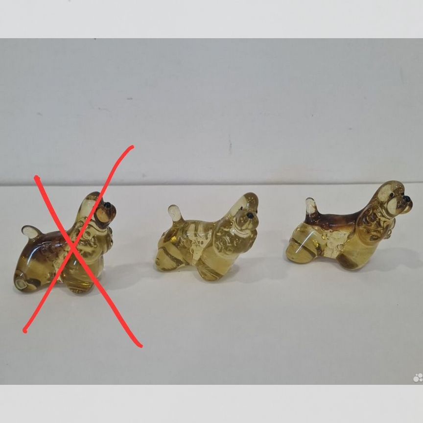 Кокер спаниель