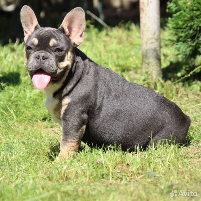 Классная девчонка