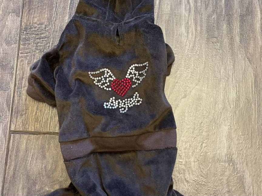 Одежда для собак