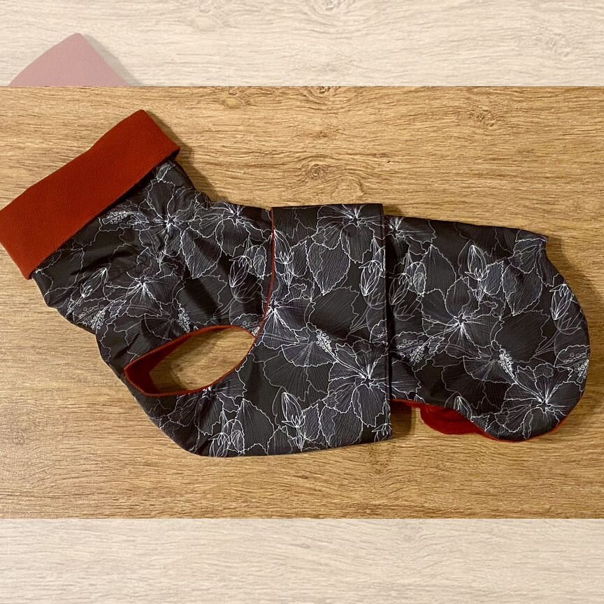 Одежда для басенджи