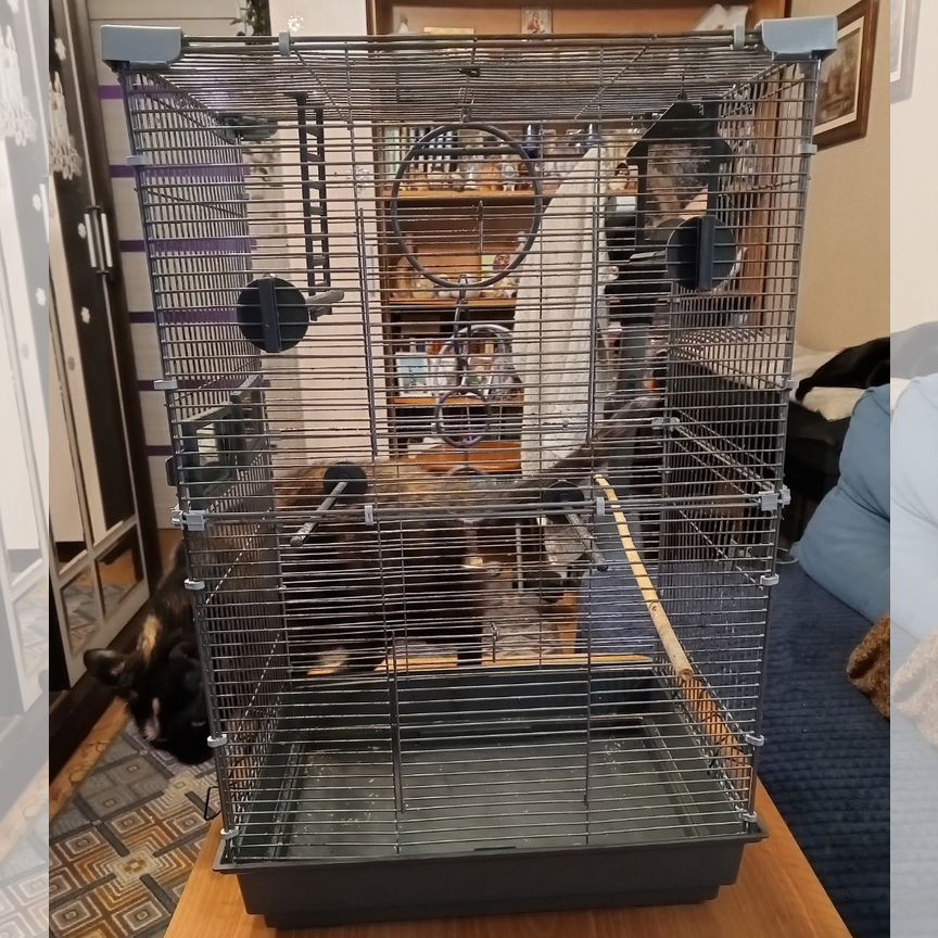 Клетка для попугая