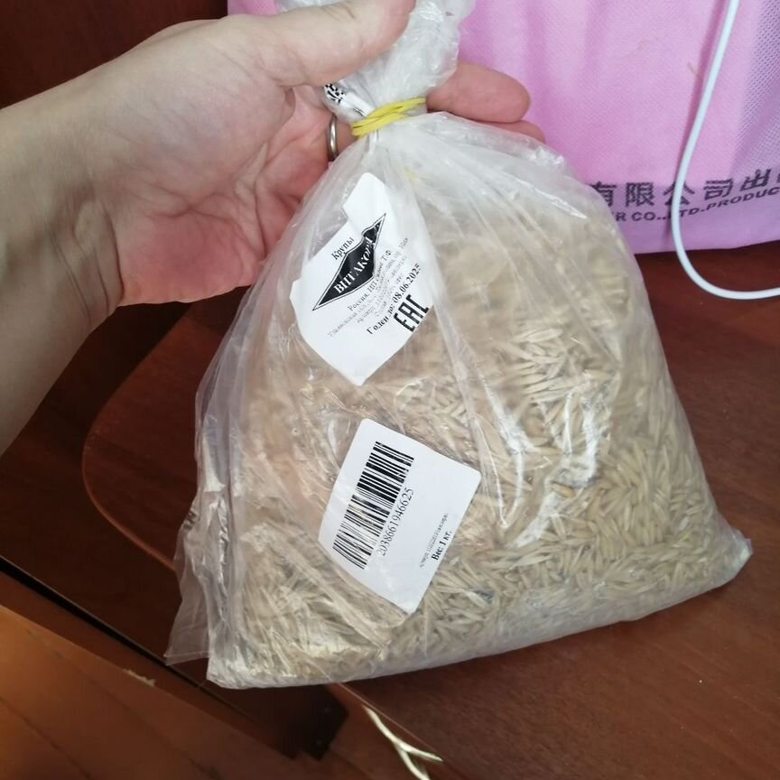 Овес неочищенный травка для кошек и собак