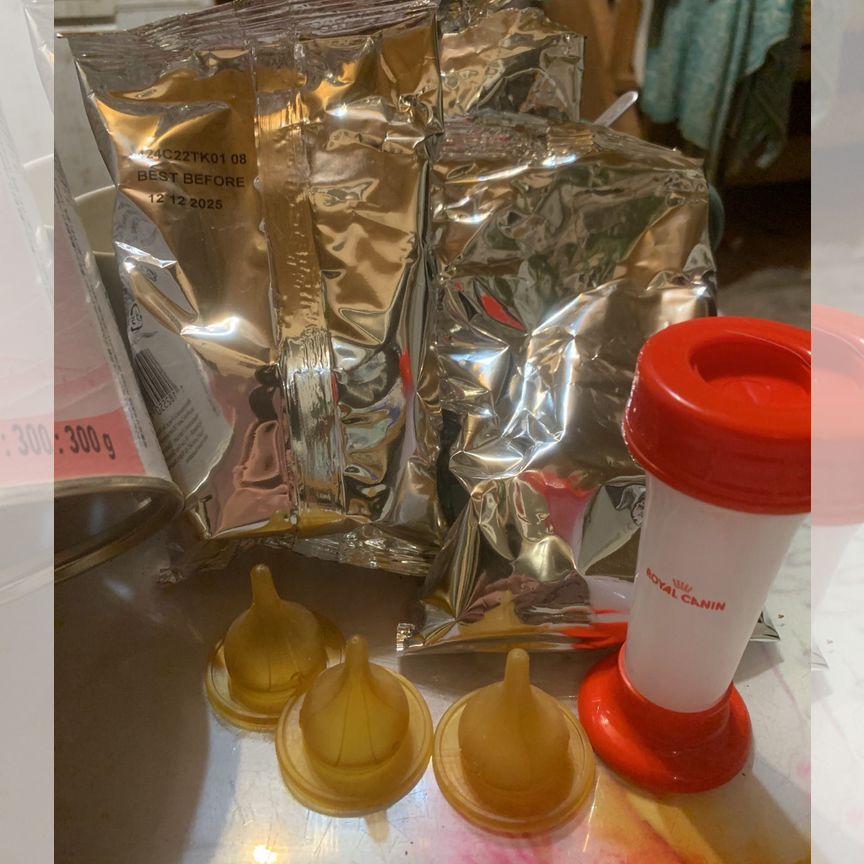 Сухое молоко для котят royal canin