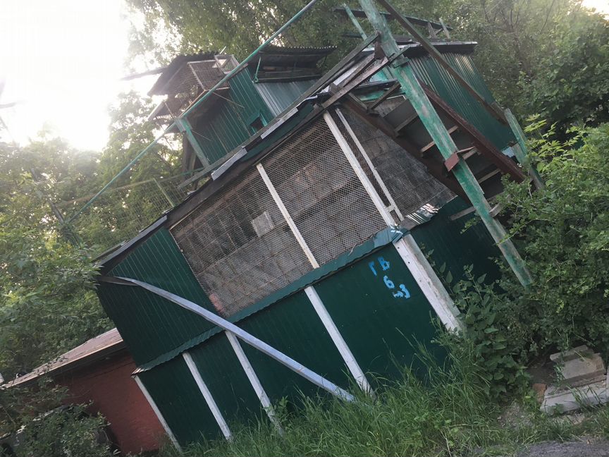 Голубятня питомник продается
