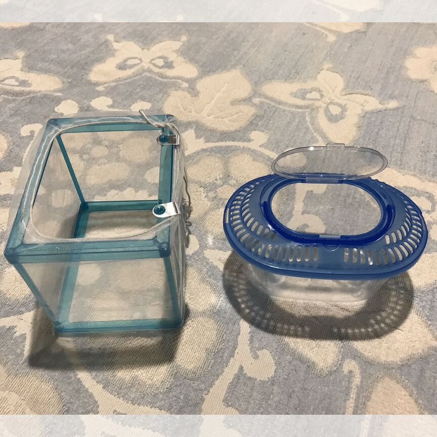 Аквариум,отсадник