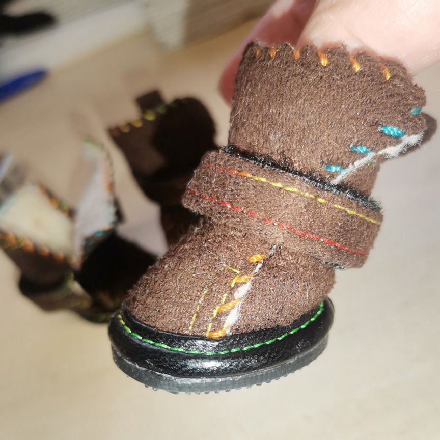 Обувь для собак мелких пород