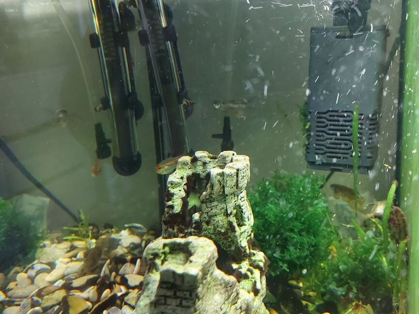 Аквариум с рыбками бу