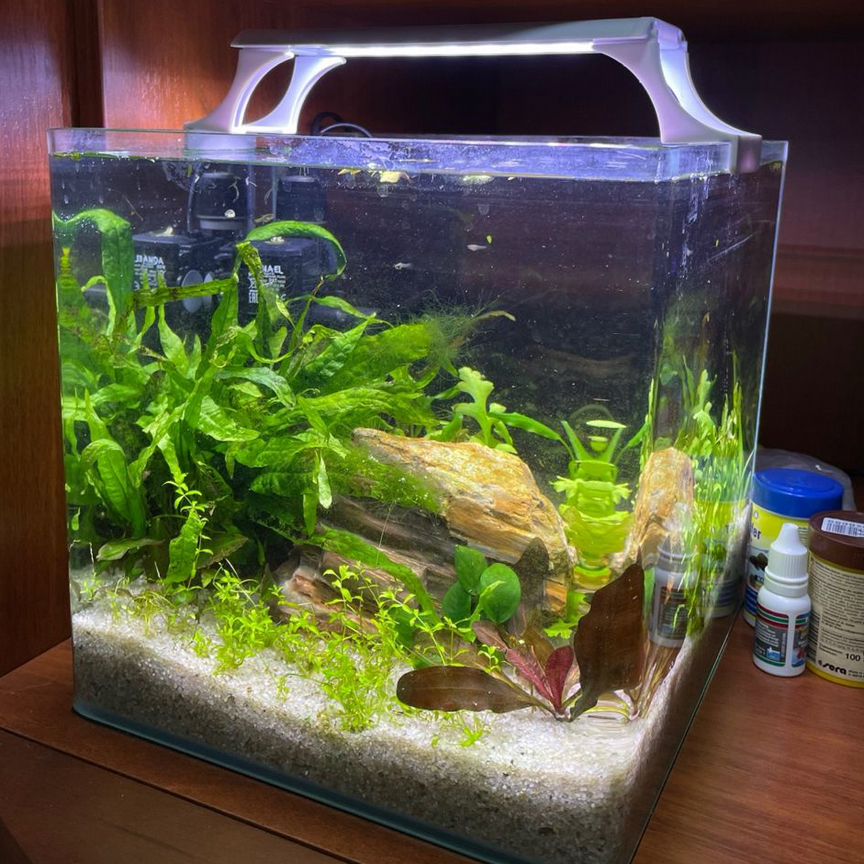 Аквариум prime оптивайт 17 с оборудованием