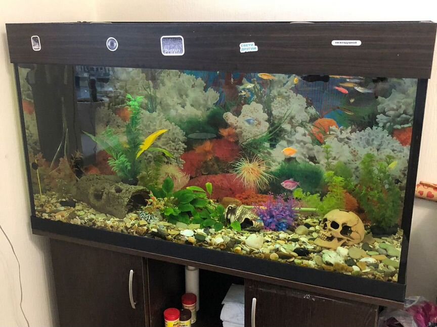 Аквариумные рыбки с тумбой
