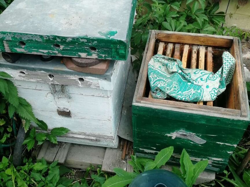 Ульи дадан 12 рамочный б/у