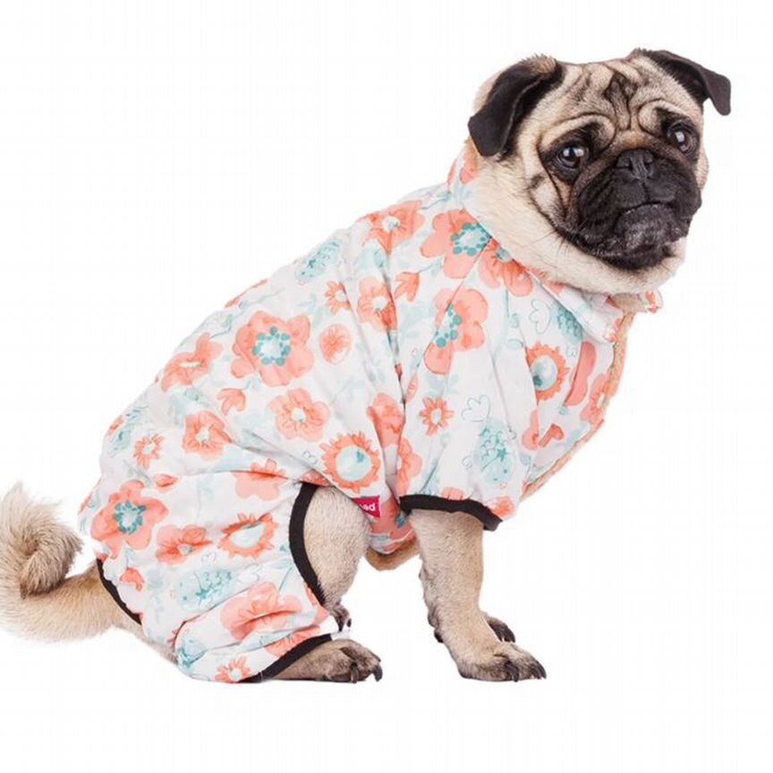 Одежда для собак