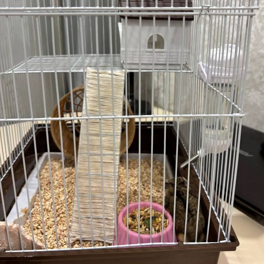 Клетка для хомяка