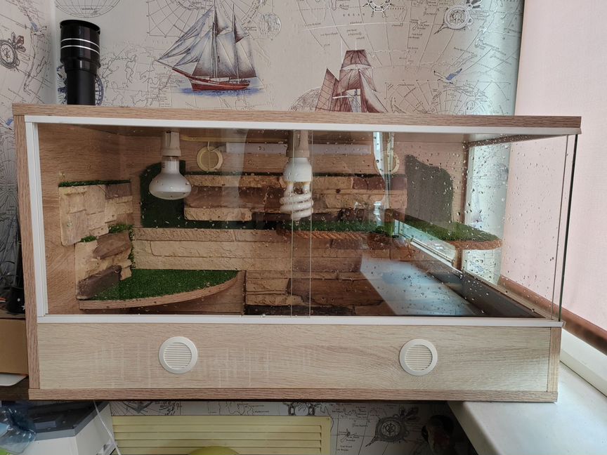 Террариум для рептилий