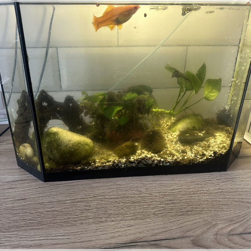 Продам аквариум
