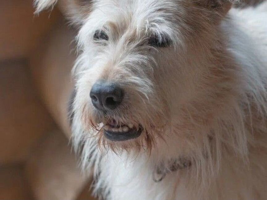 Старушка Дженна. Но все еще верит в чудеса