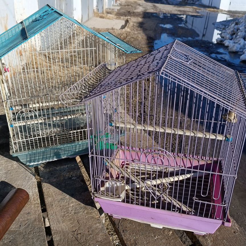 Клетки