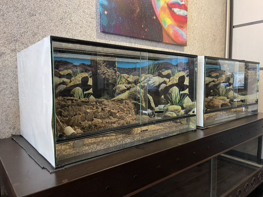 Террариум 75х40х50