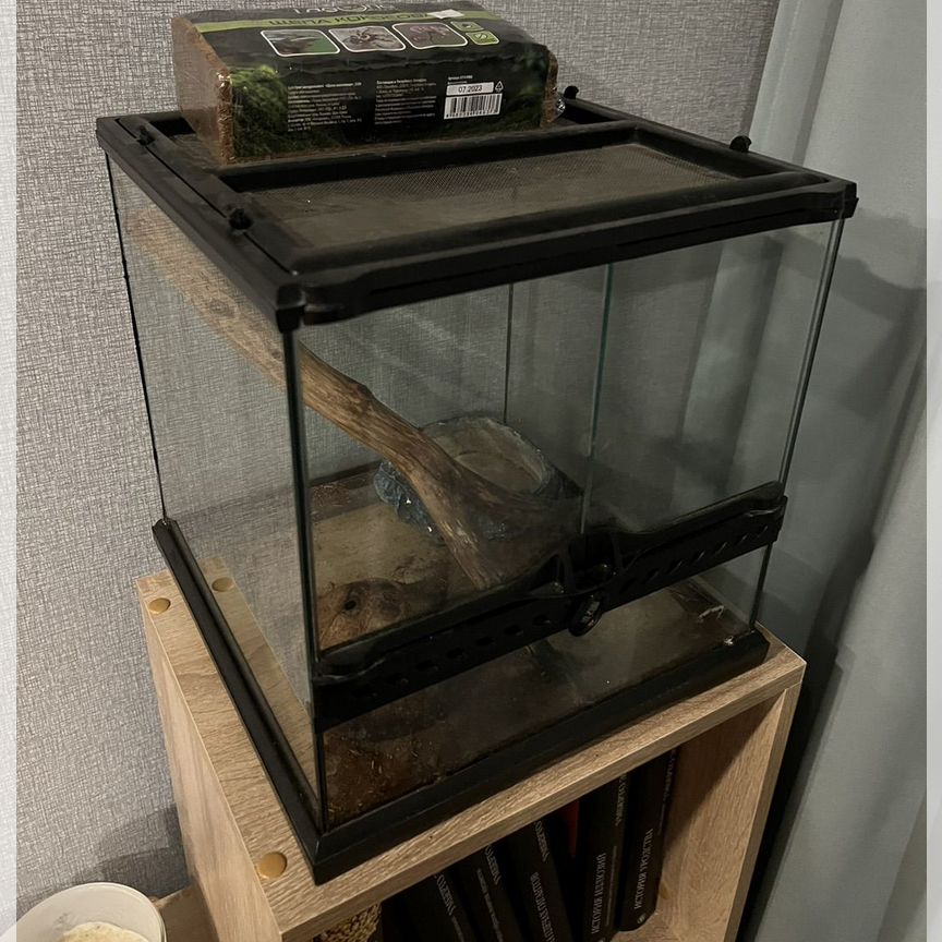 Террариум для змеи бу