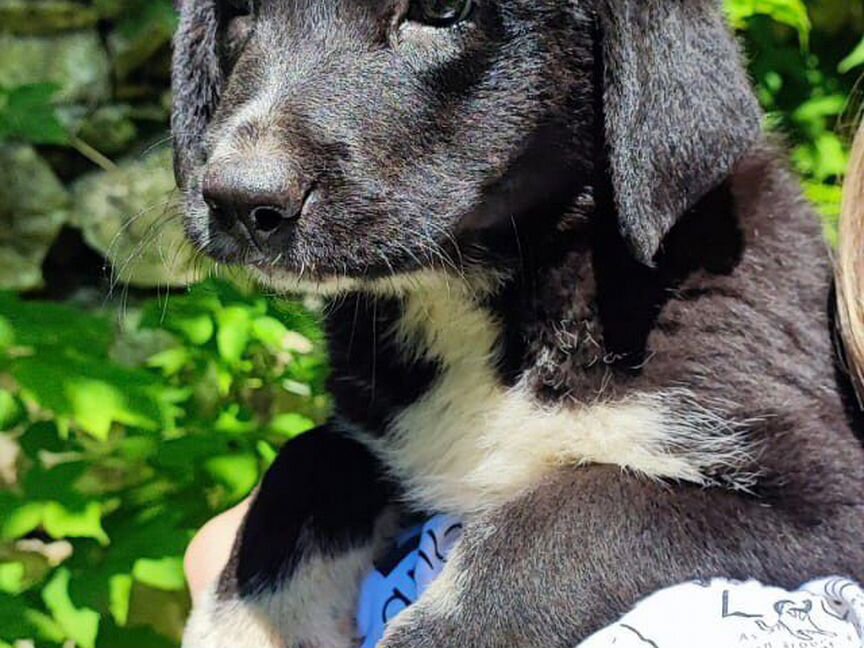 Я буду большой и красивой