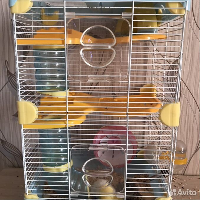 Хомяки джунгарики