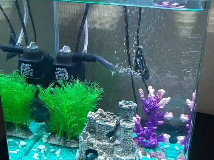 Аквариум готовый dennerle