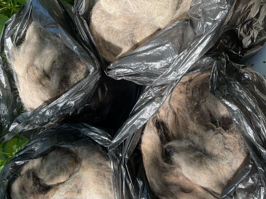 Собачья шесть, пух чесанный 2,1 кг