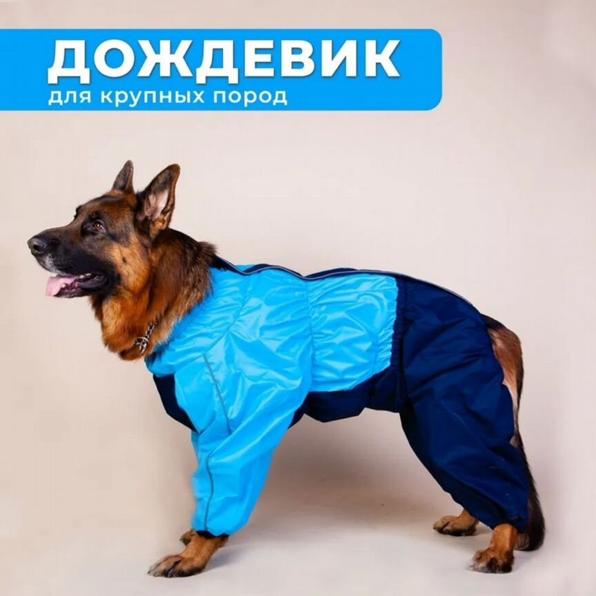 Дождевик для кобеля овчарки