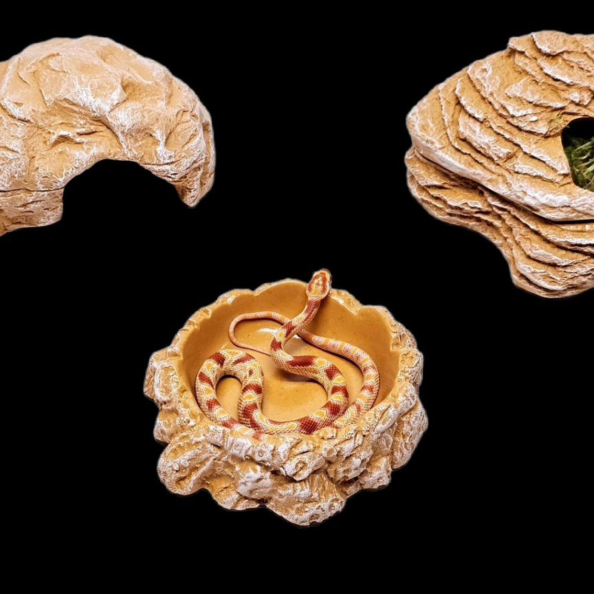 Комплект керамики для змей и эублефаров