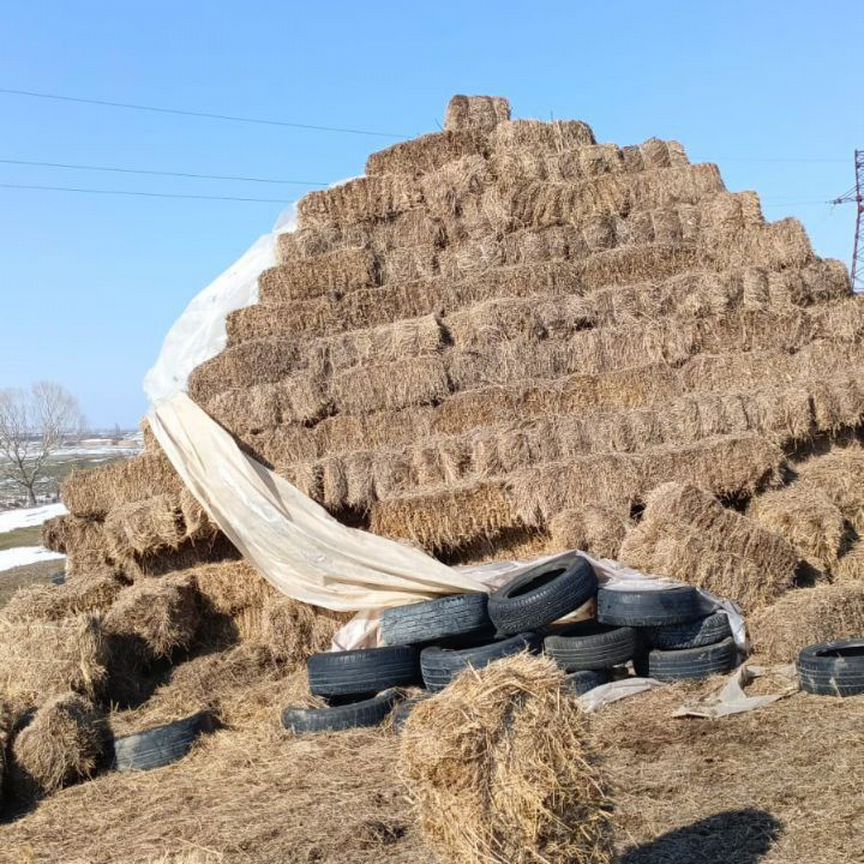 Сено разнотравье в тюках