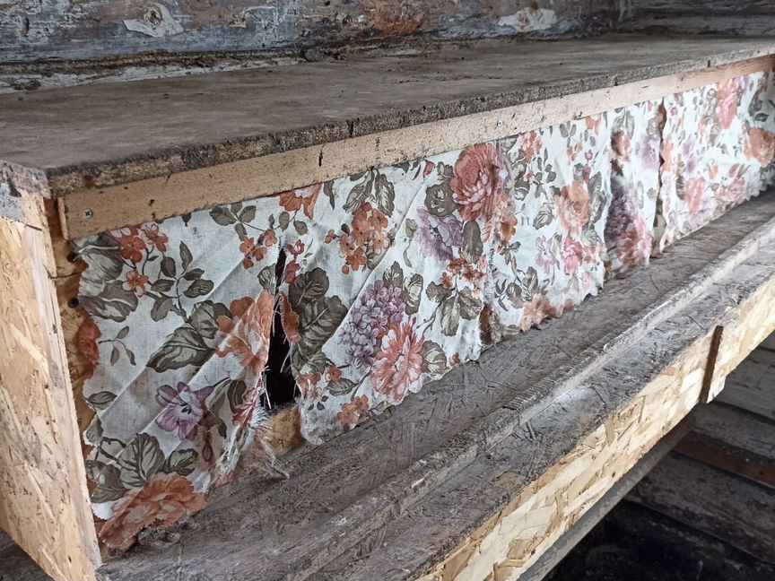 Гнездо для кур с яйцесборником