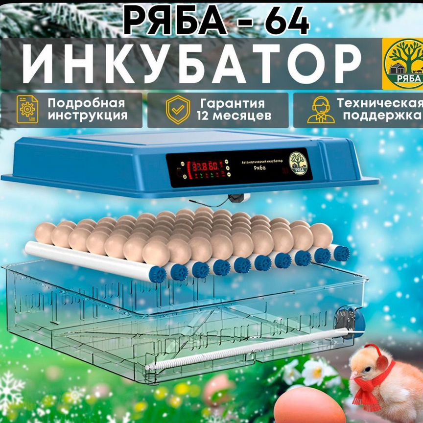 Инкубатор ряба 64