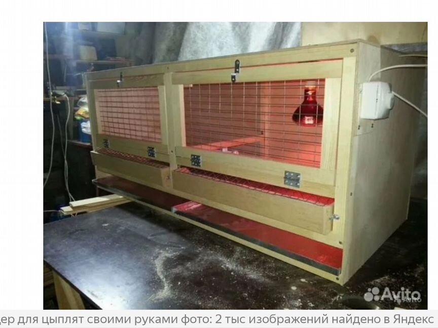 Брудер для цыплят
