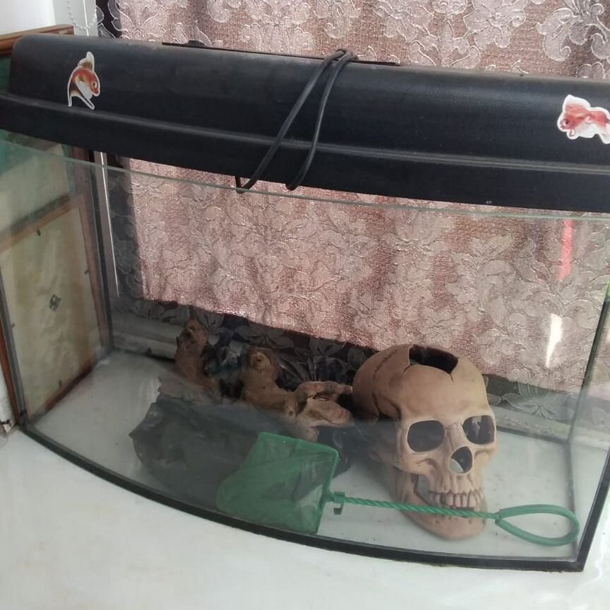 Аквариум 55л