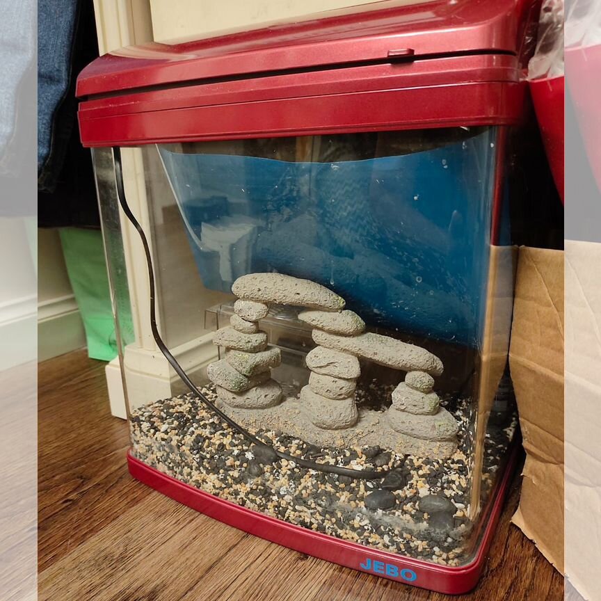 Аквариум с системой аэрации, освещения и фильтраци