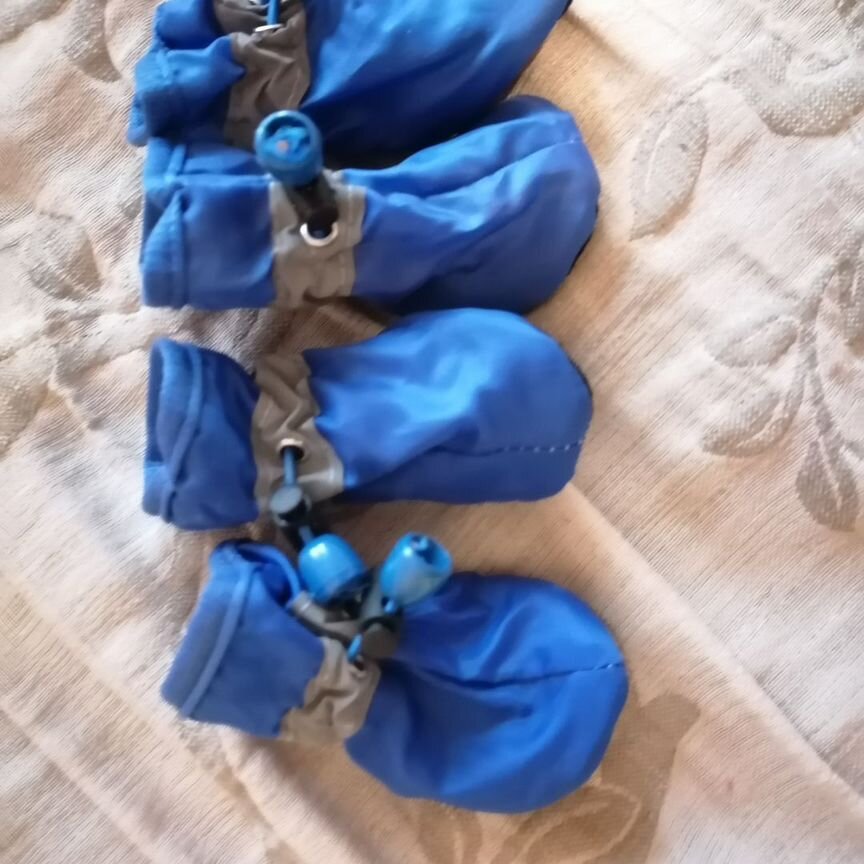 Обувь для собаки