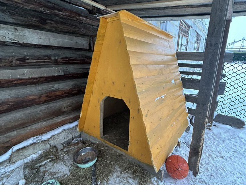 Будка для крупной собаки утеплённая