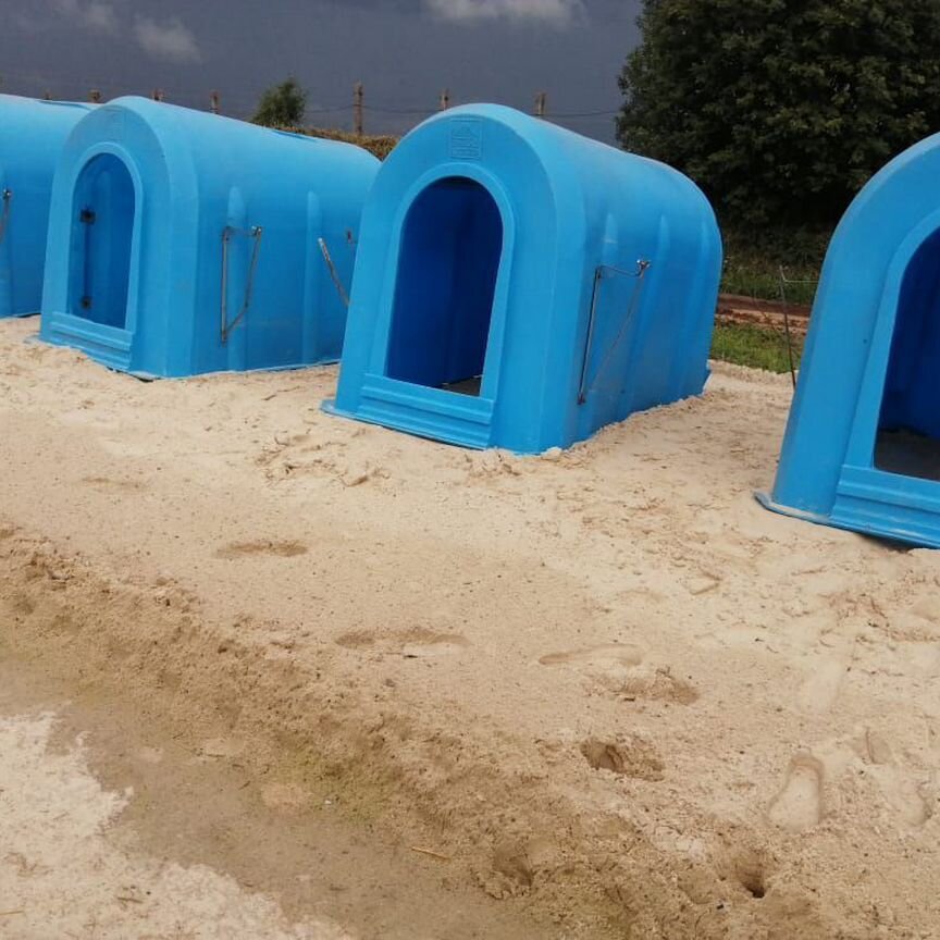 Домики для телят