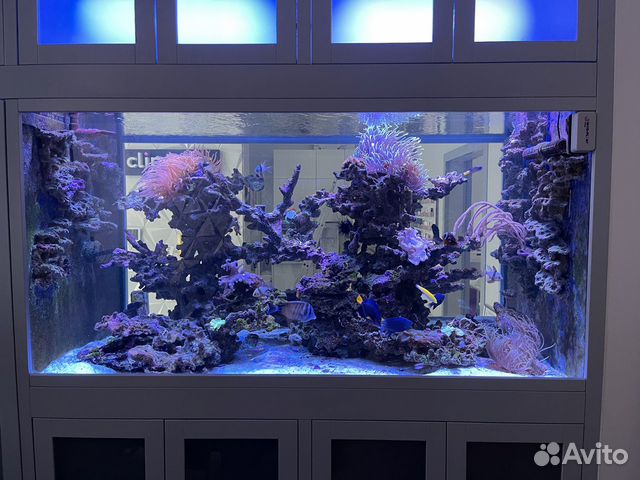 Морской аквариум