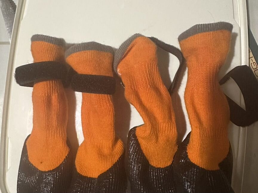 Обувь для собаки