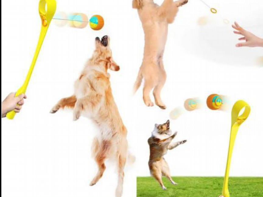 Игрушки для собак