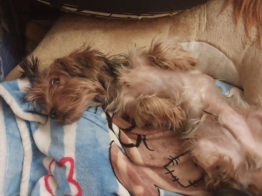 Забронирован